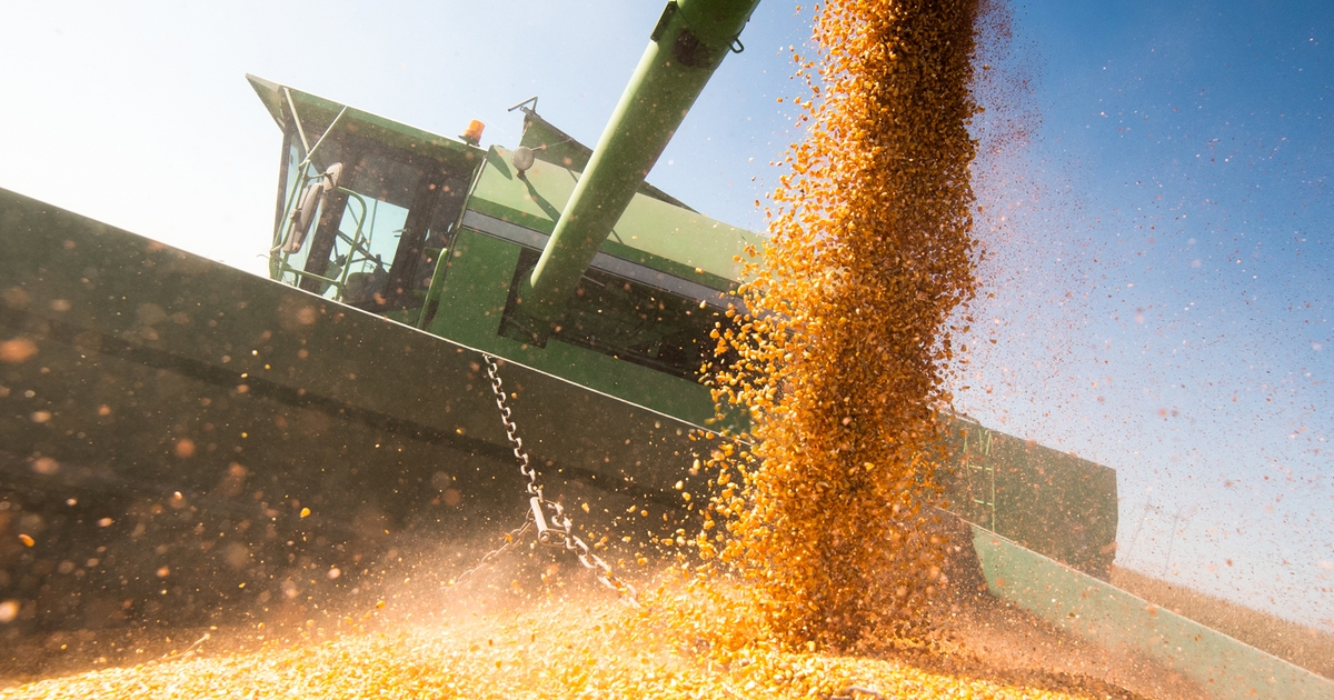 7 facts about U.S. corn yield trends