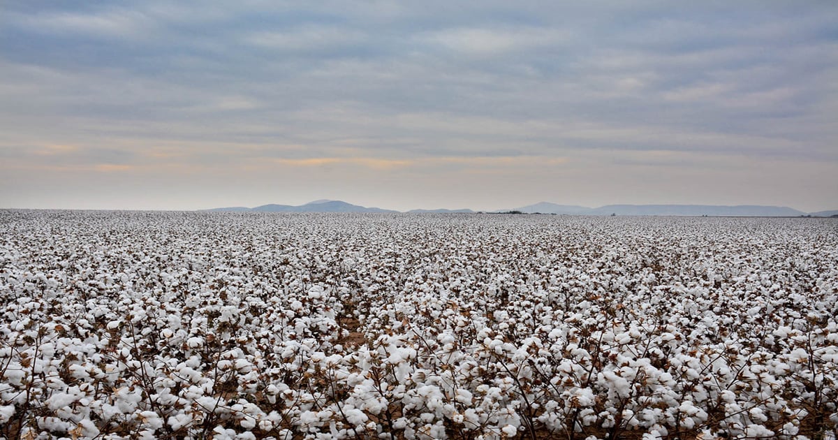 Oklahoma bumper crops yield success along with challenges