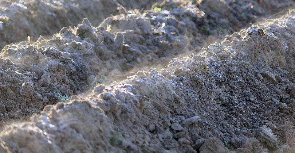 A scientific viewpoint on soil health