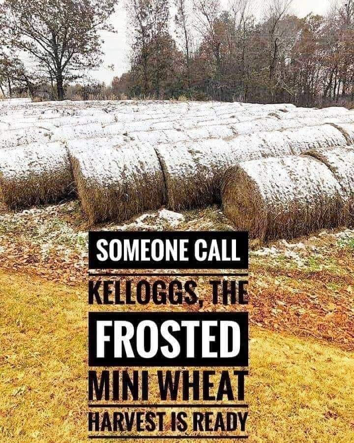 Hay Farmer Memes