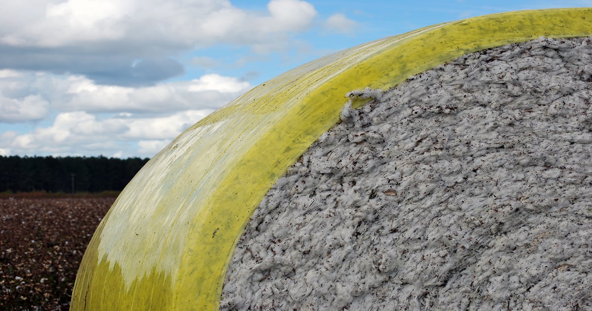 Prevent plastic contamination in cotton new report stresses importance