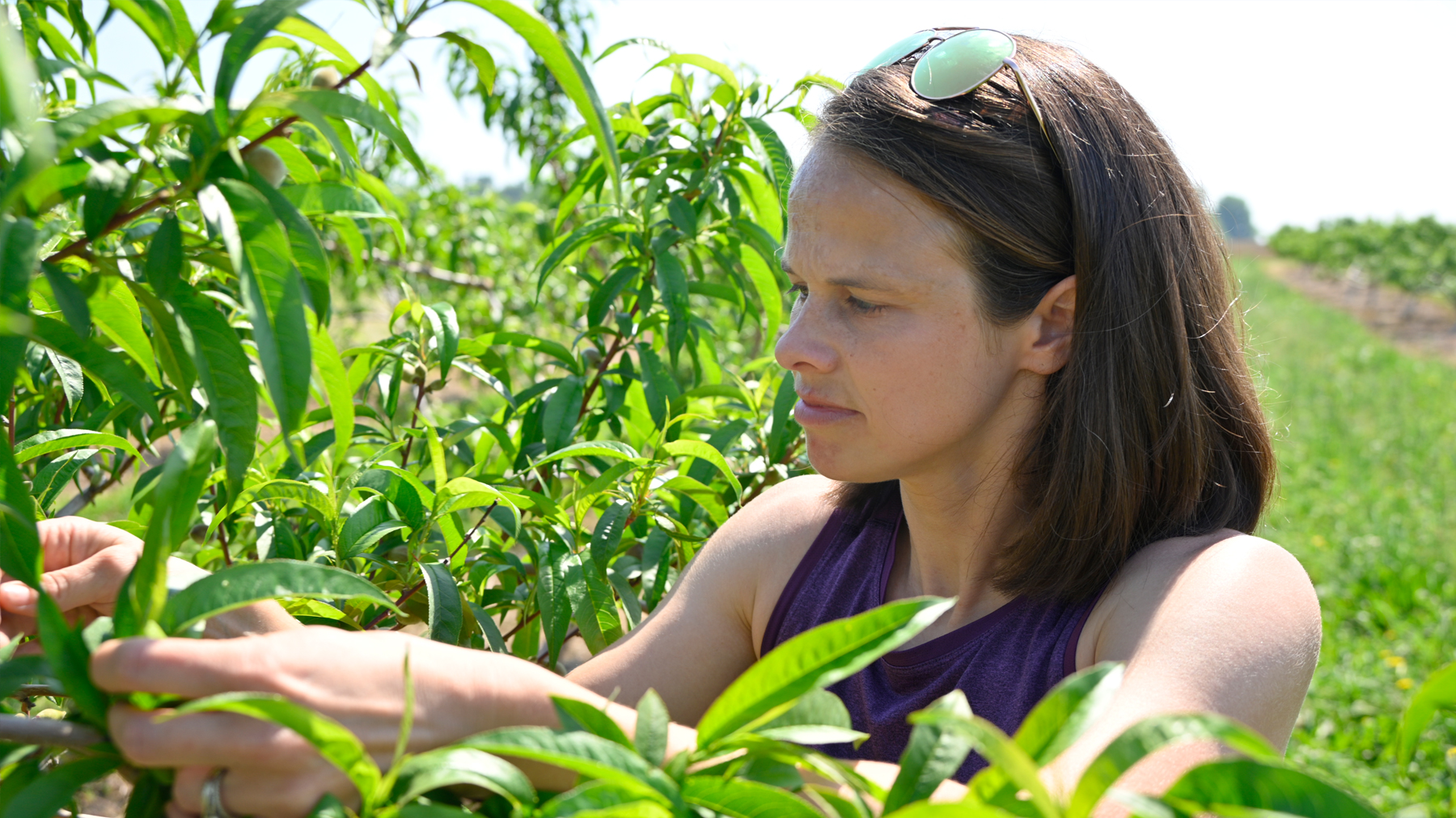 How to survive your first year farming when everything goes wrong