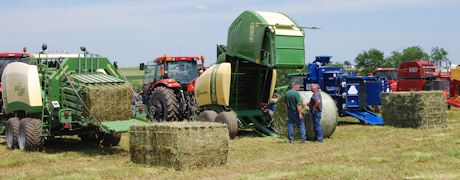 Check Wet Hay For Signs Of Heating