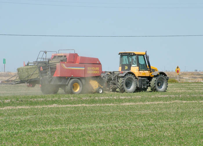 RR alfalfa’s advantages far outweigh disadvantages | Farm Progress