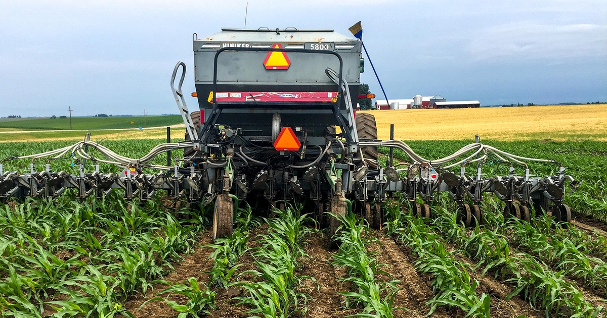Interseeding cover crops in extra-wide corn rows