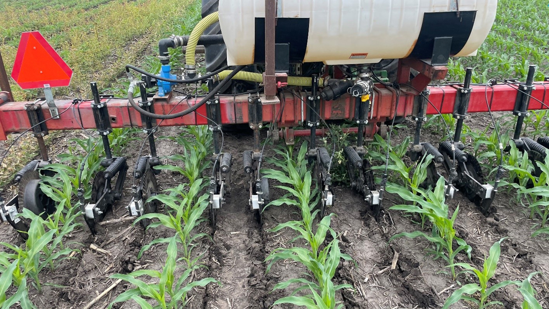 How to optimize nitrogen applications in your corn