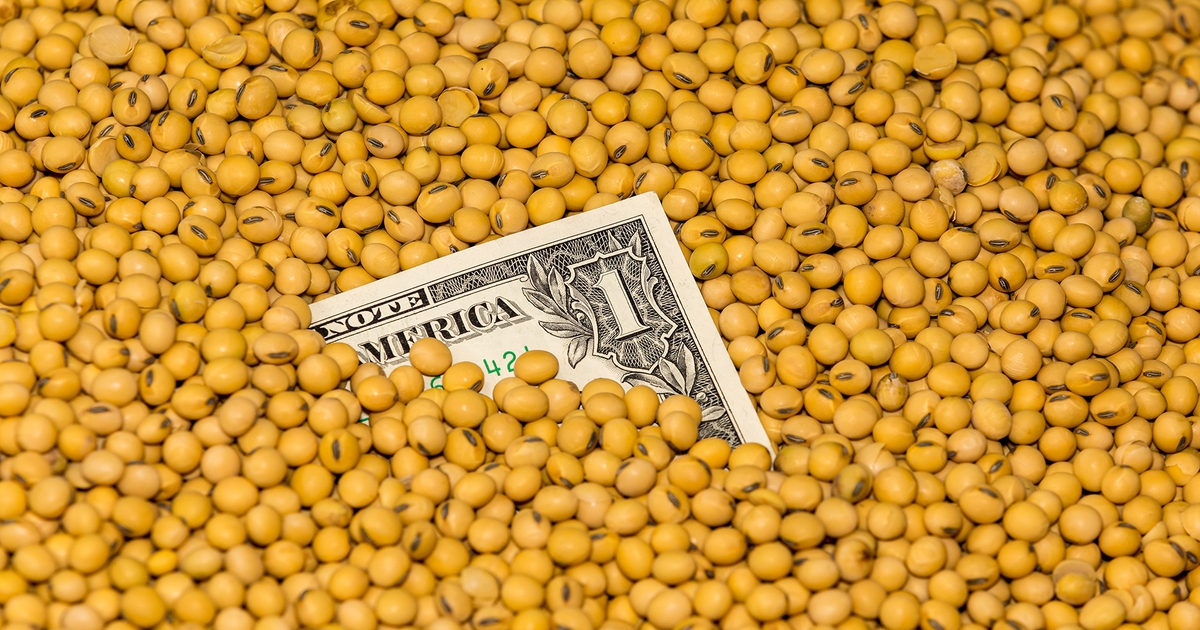 Soybean futures price breakout: Weather and demand are key factors