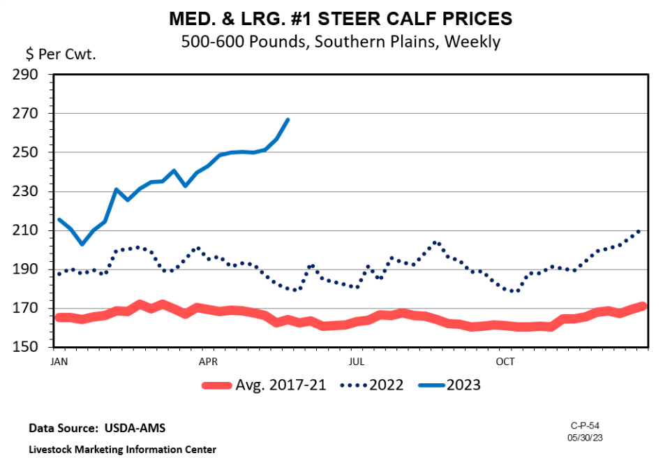 Comparing beef slaughter in 2023 to 2022