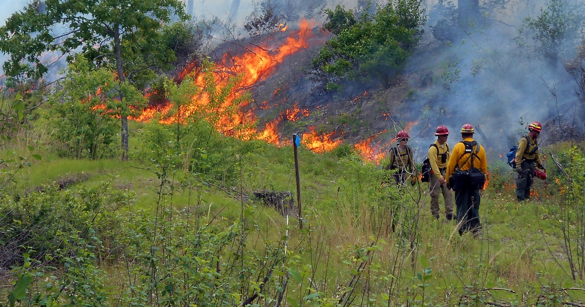 Prescribed fire sparks new life on old farm