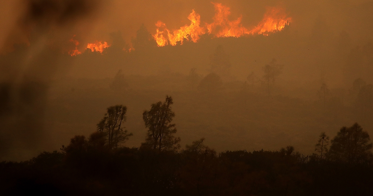 Addressing the real root of Western fires