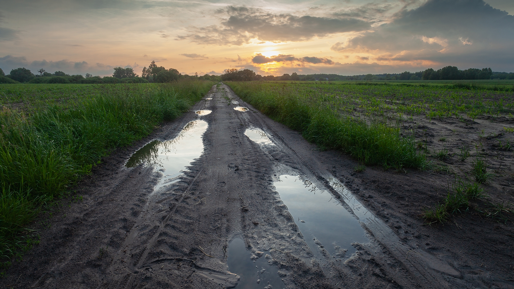 Soggy fields frustrate eager farmers