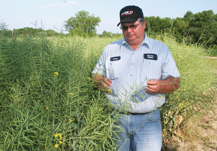 Rapeseed finds spot in North Carolina farm rotation | Farm Progress