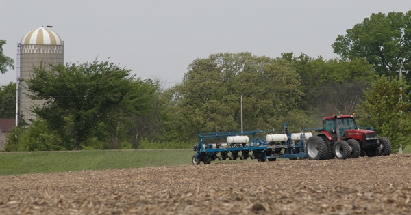 Corn Planting Progressing; Soybeans on the Map, Too