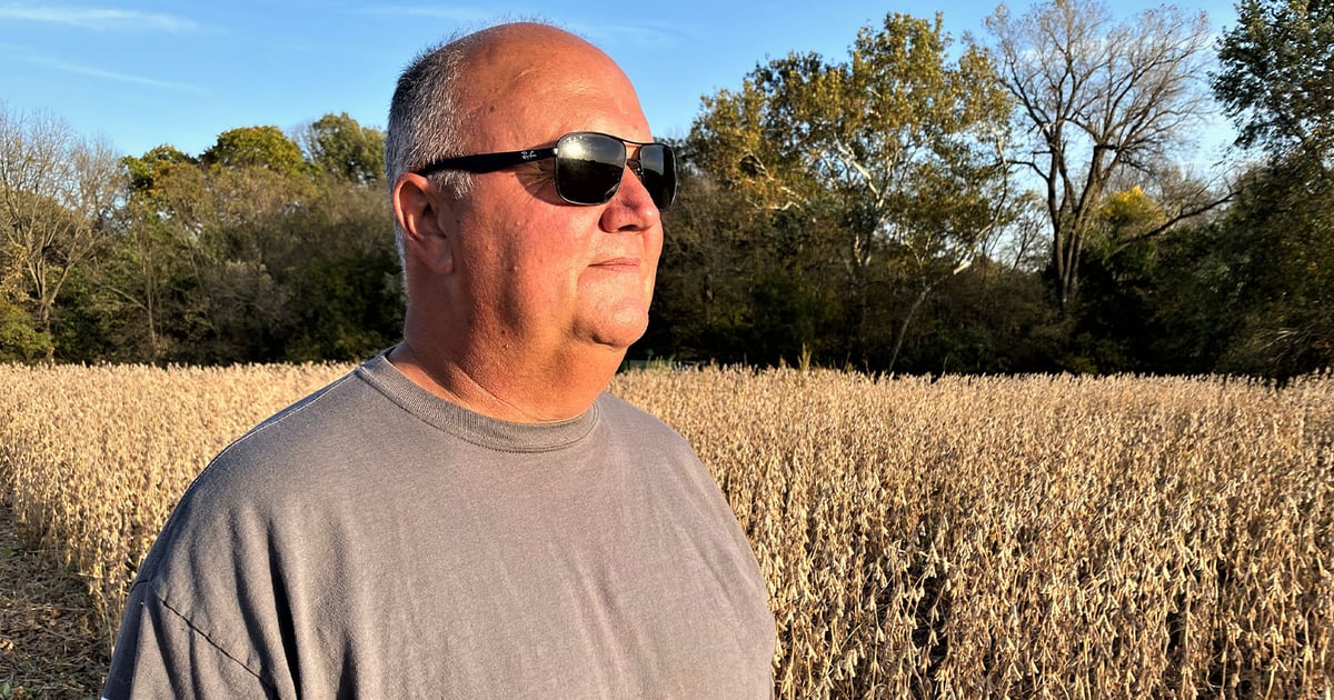 Soybean producer experiences good results from new seed technology