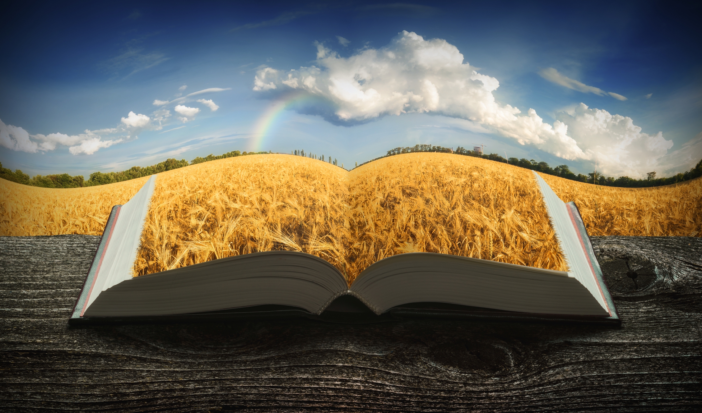 Grain marketing: It's a good time to read a book