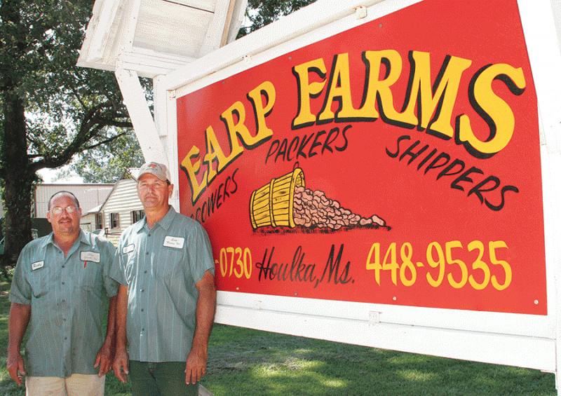 Sweet potatoes ‘a good, solid business’ for Jamie and Ricky Earp