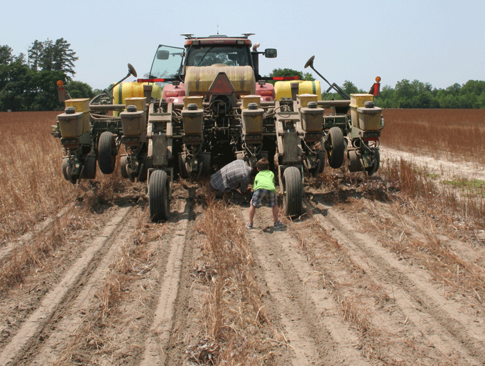 Precision fertilizer placement in strip-till complicates soil sampling ...