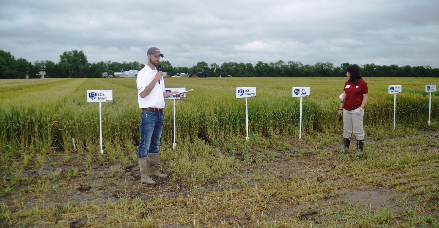Limagrain Cereal Seeds shares data on varieties during plot tour