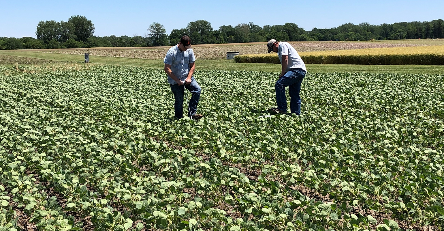 Nutrient removal rates revisited