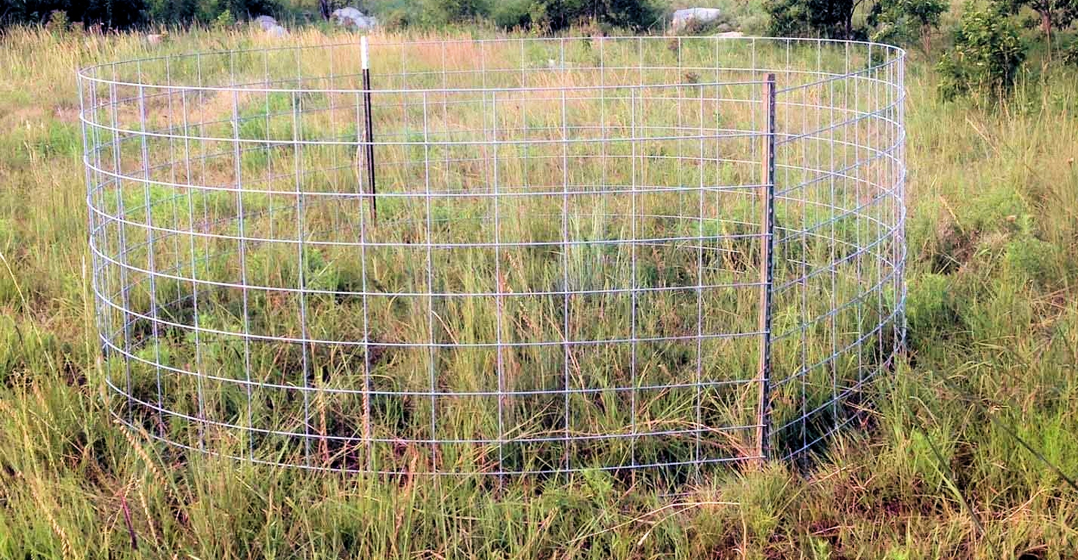 Raise a nongrazing cage