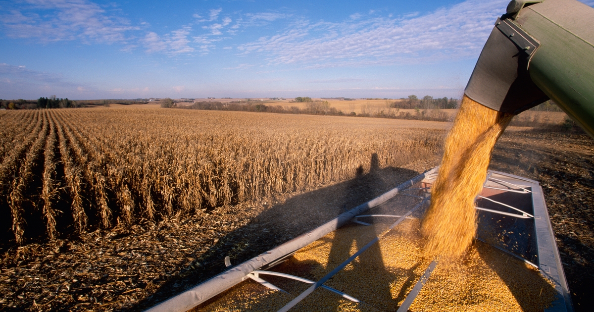 Learn strategic crop marketing from Purdue
