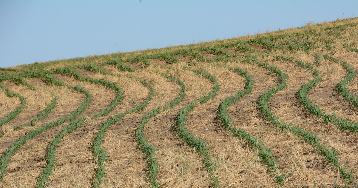 Indigo Ag program opens opportunities for more farmers