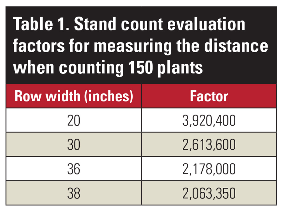 Assess corn and soybean stands early