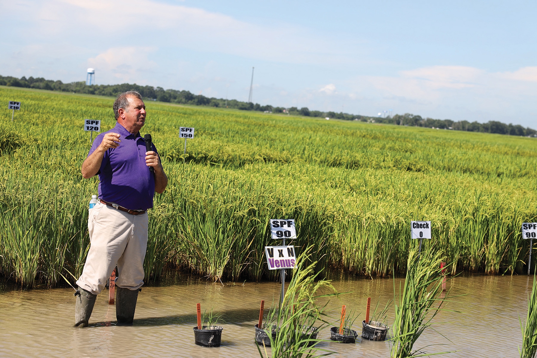 Fall field prep boosts early rice planting success