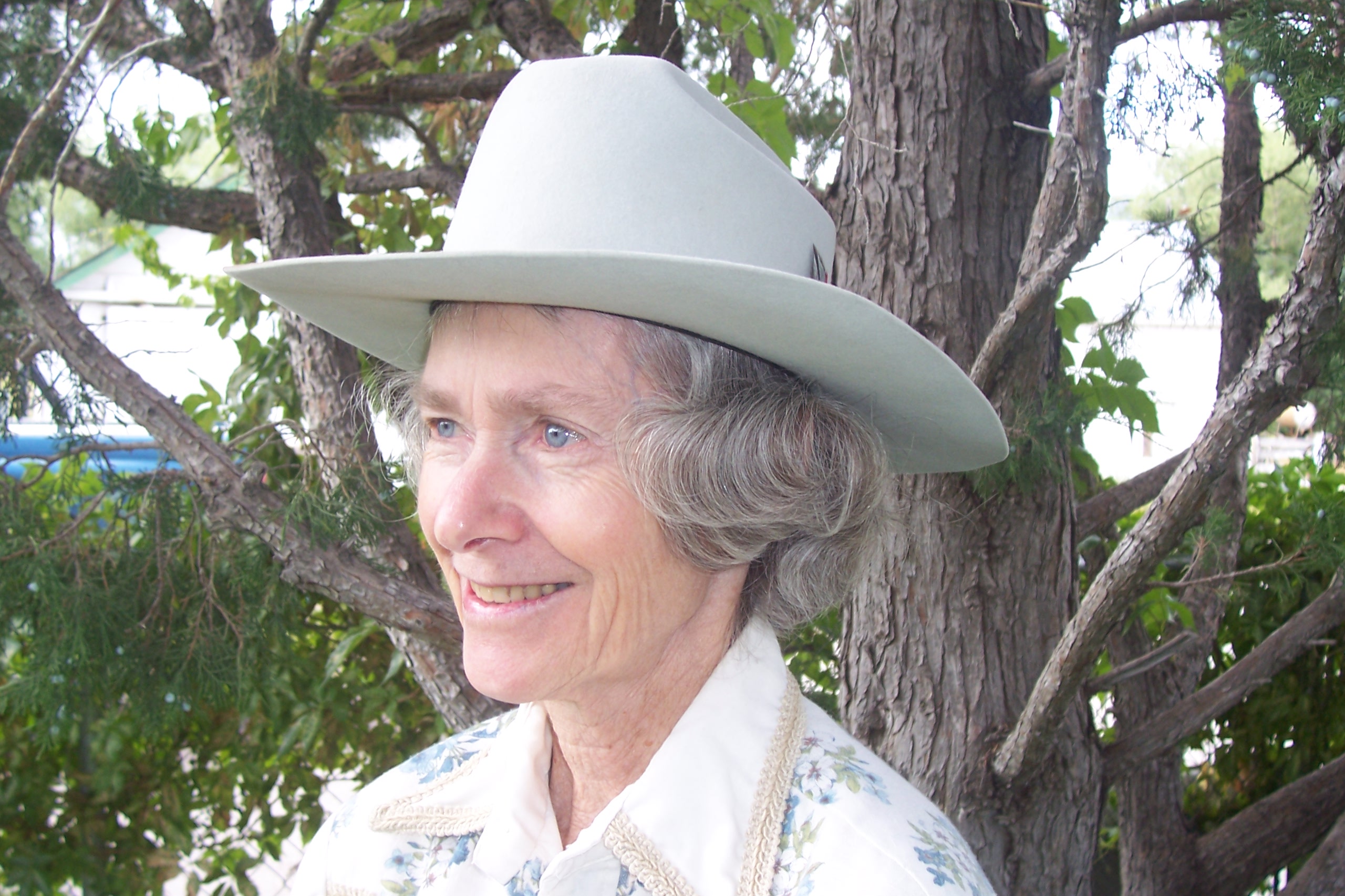 Cottonseed an option for feeding cattle