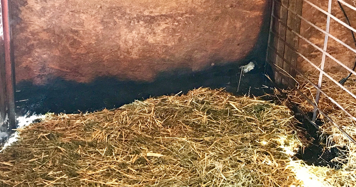 Barn fire’s aftermath | Farm Progress