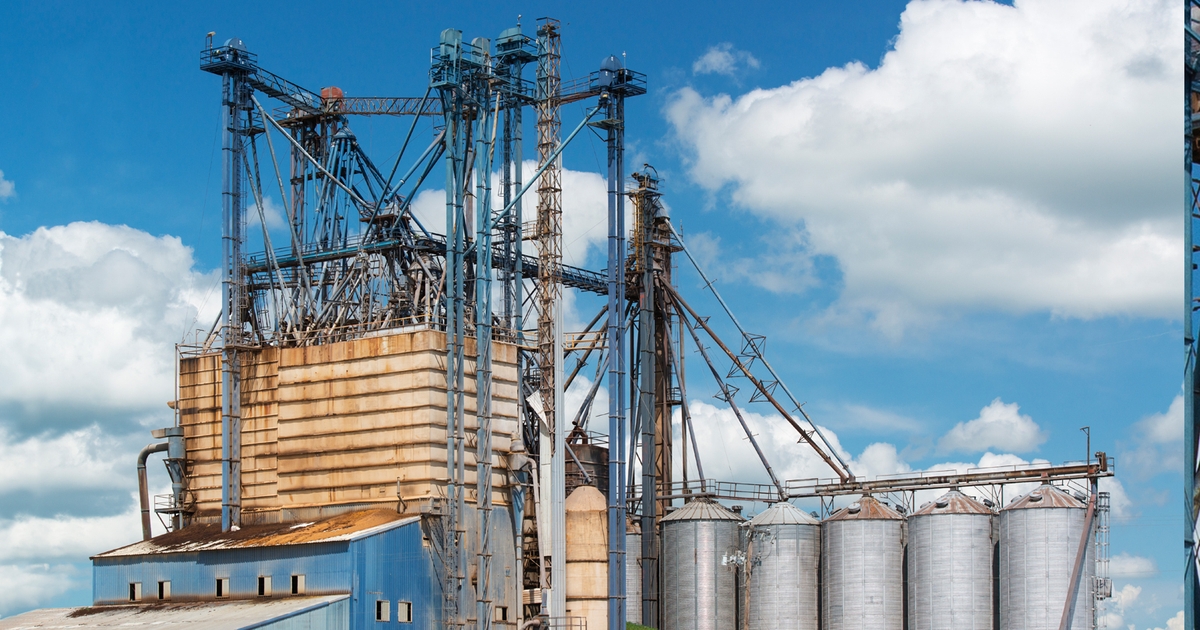 New feed sampling protocols can keep feed pathogen-free