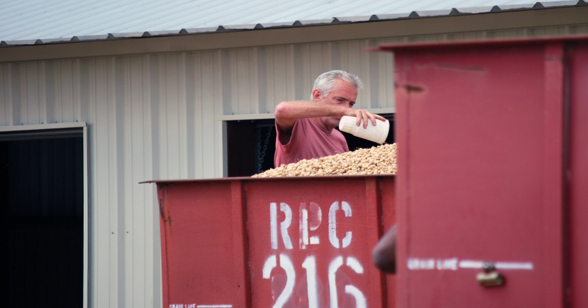 Peanut farmers asked to comment on rule revising Seg. 1 standards