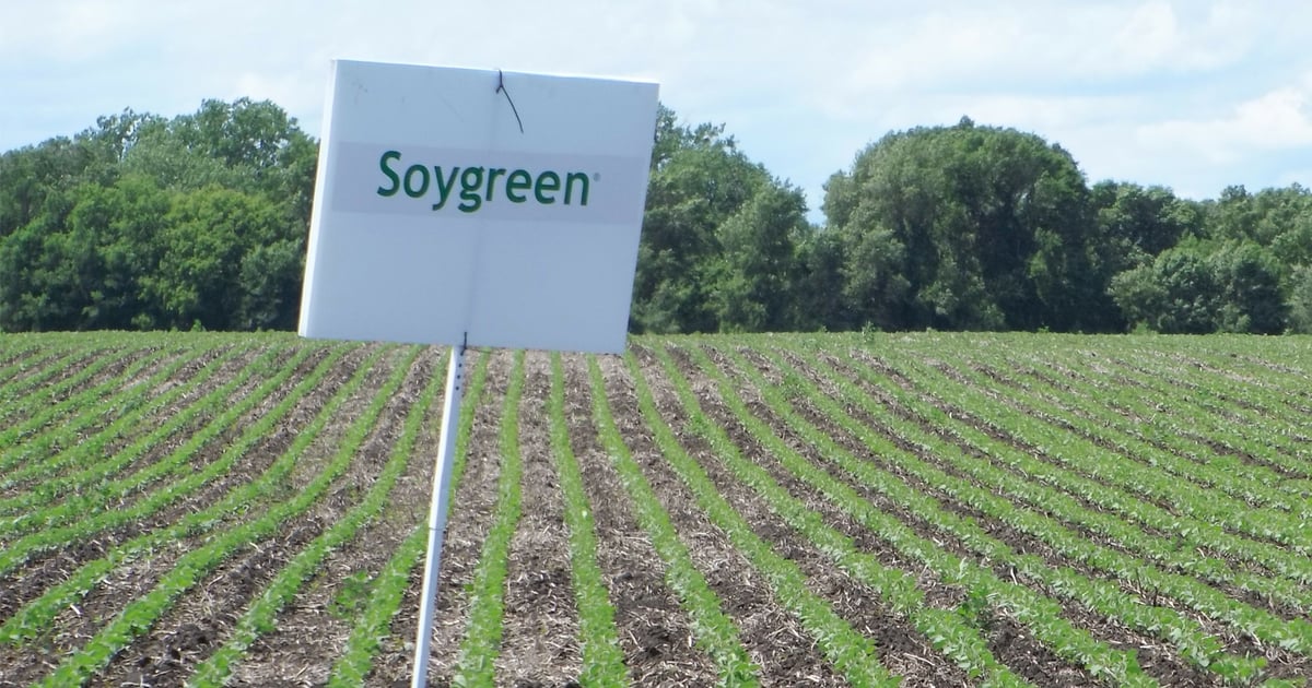 A look at new crop trends, technology