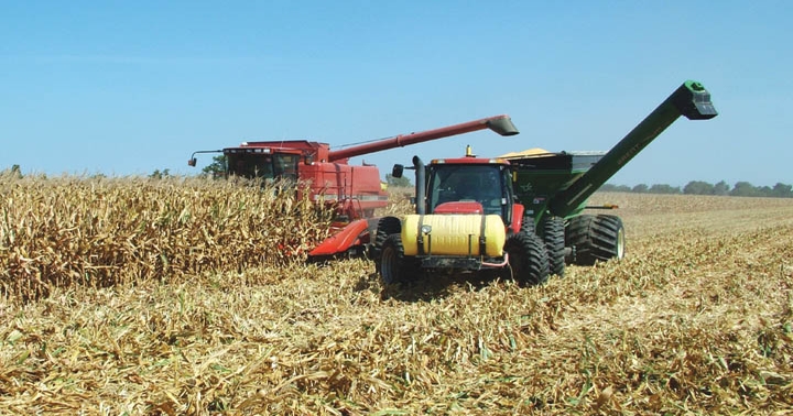 Corn varieties with drought tolerance soon to arrive | Farm Progress