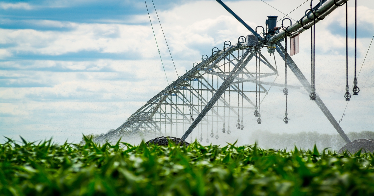 Benefits of irrigation in the Upper Midwest