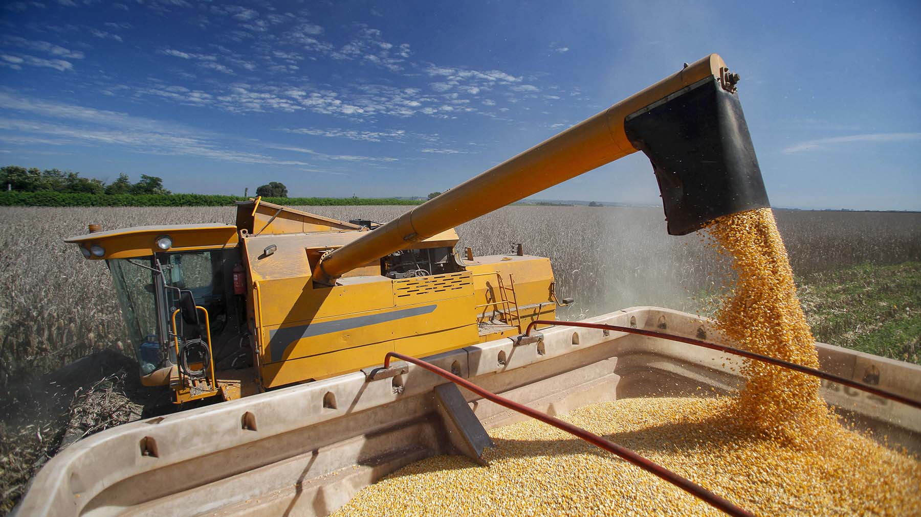 Brazil corn delays threaten global supply as dry season looms