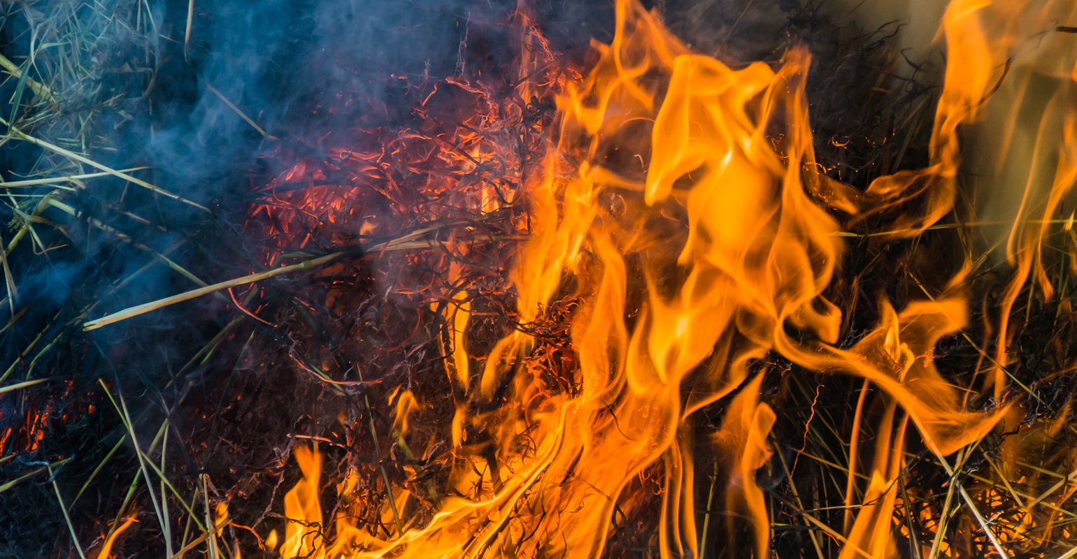 Beware of hot hay temperature danger zone