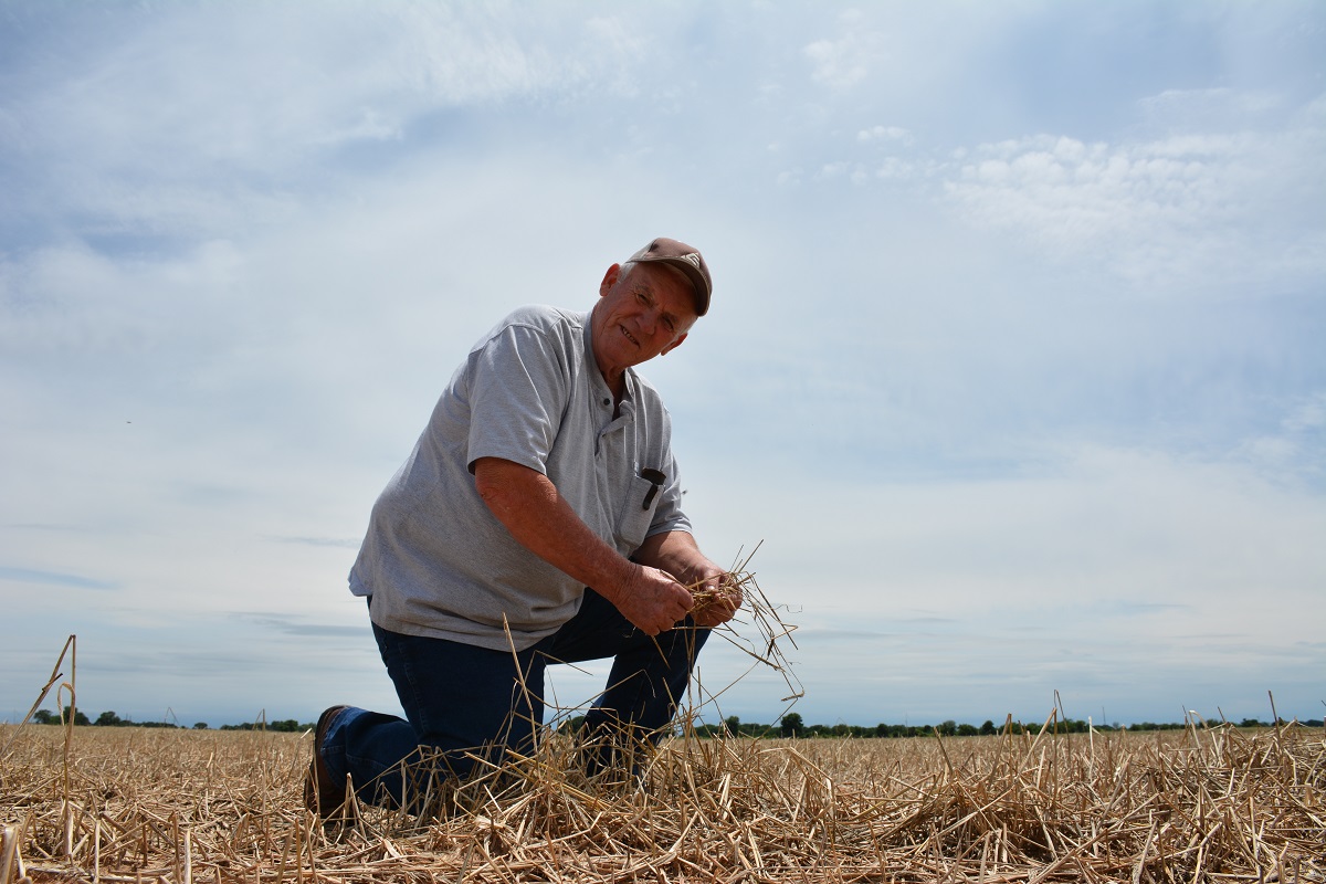 Anthony Reed was born into peanuts | Farm Progress