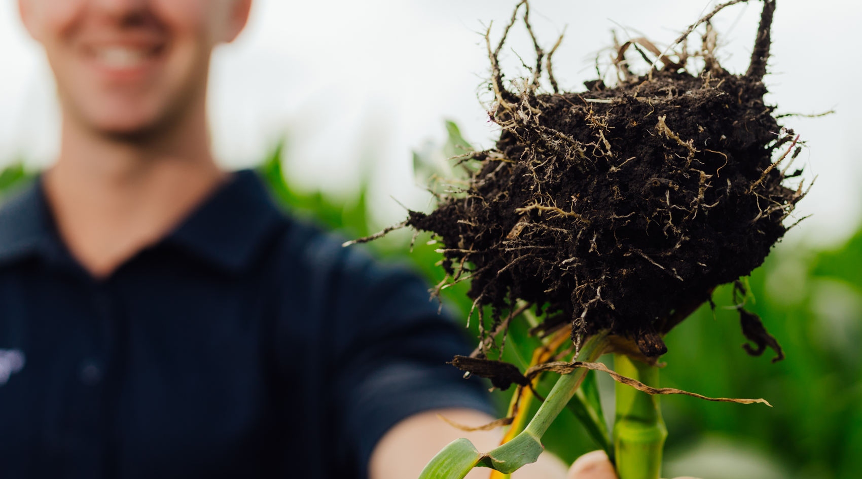 Yield & ROI Advantages of Pivot Bio Microbial Nitrogen