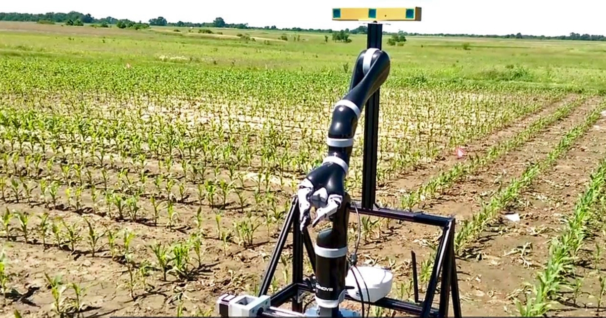 University of Missouri uses robot to analyze crops