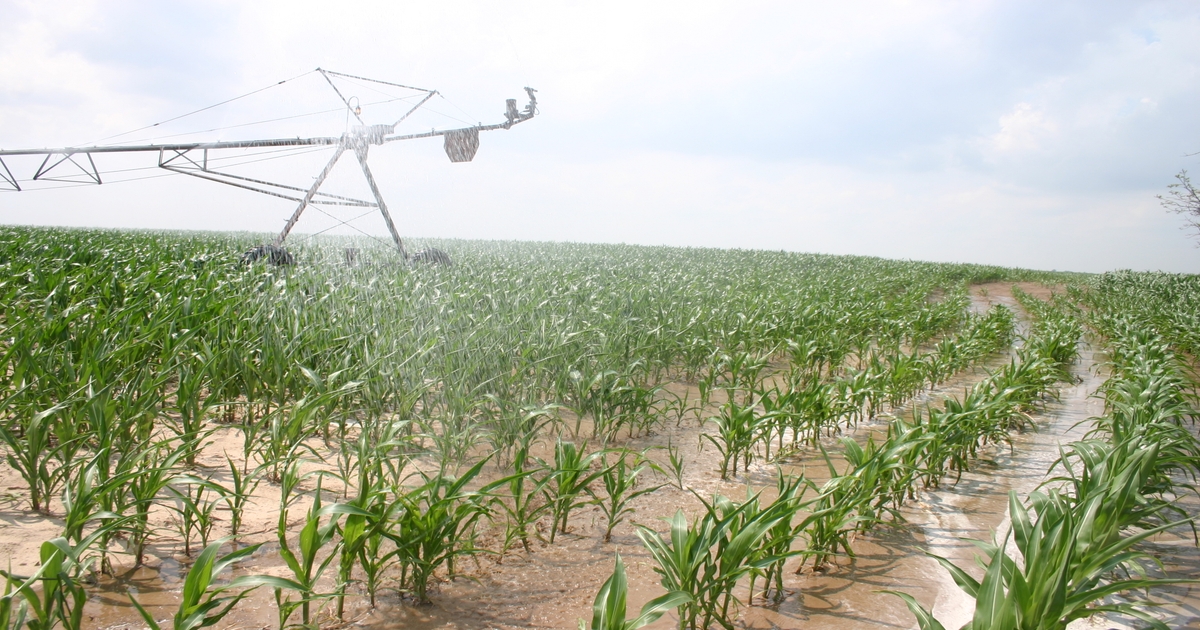 Irrigation-keen farmers to speak at the Delta States Irrigation Conference