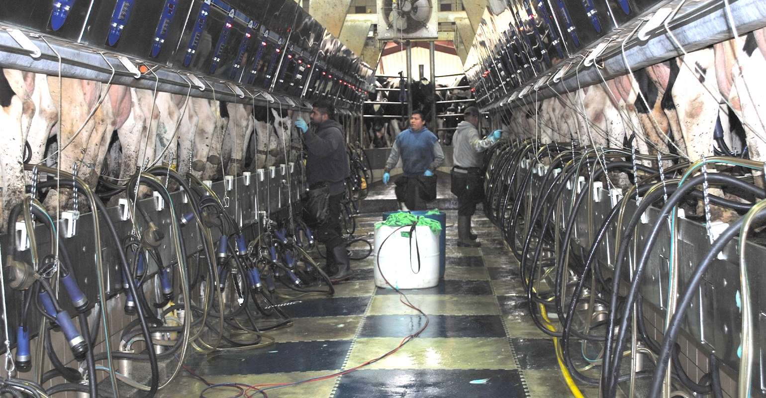 How to write farm job descriptions