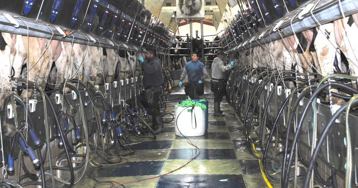 How to write farm job descriptions