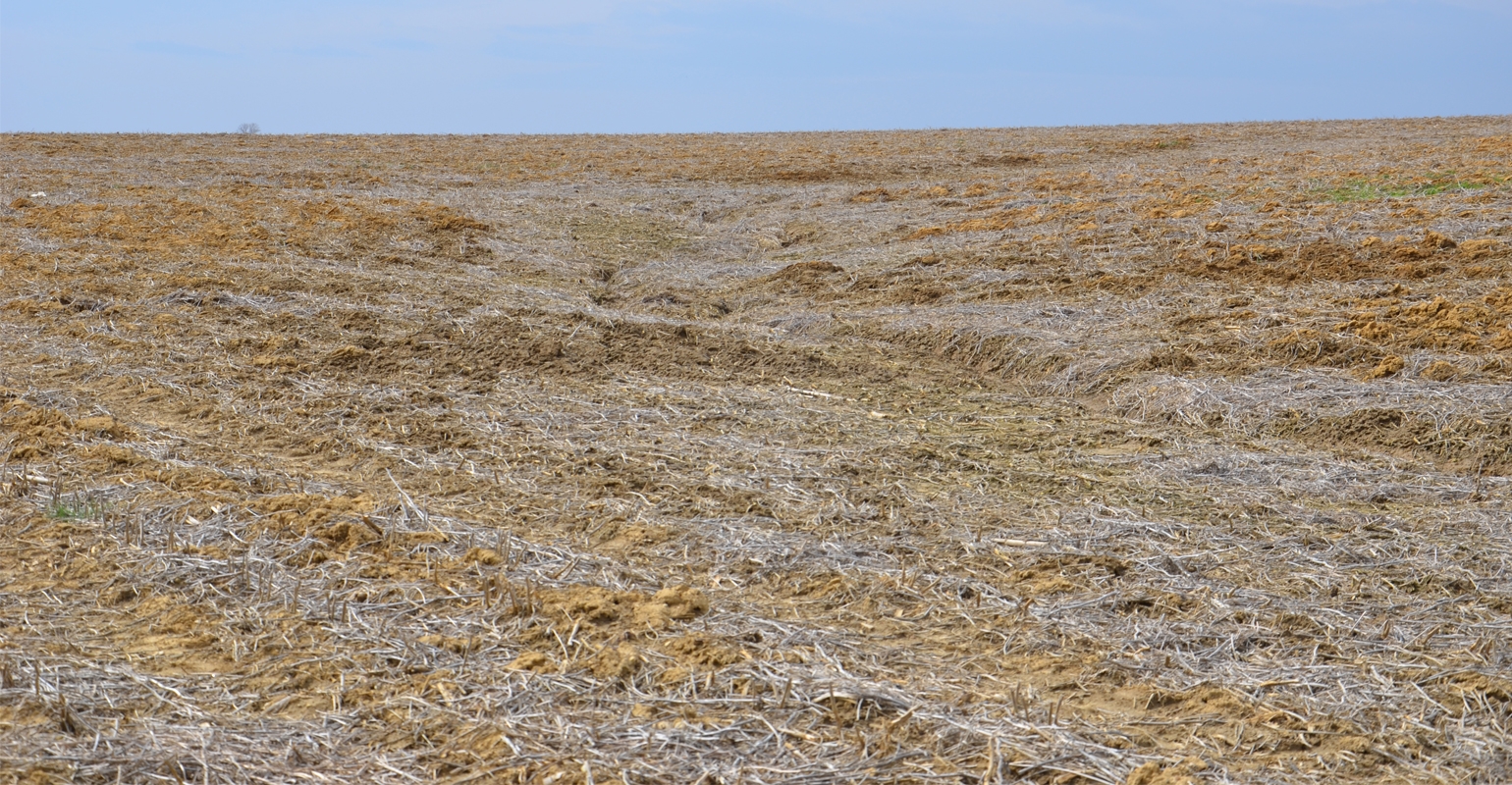 How well will your soils survive this winter?