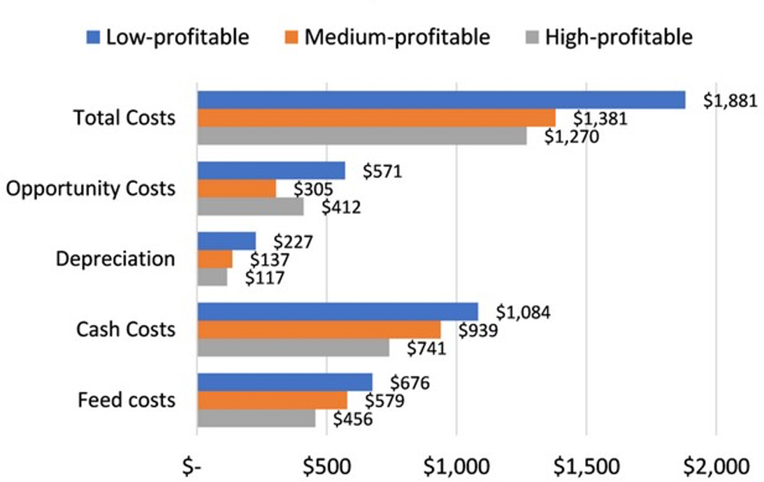 What are profitable cow-calf operations doing right?