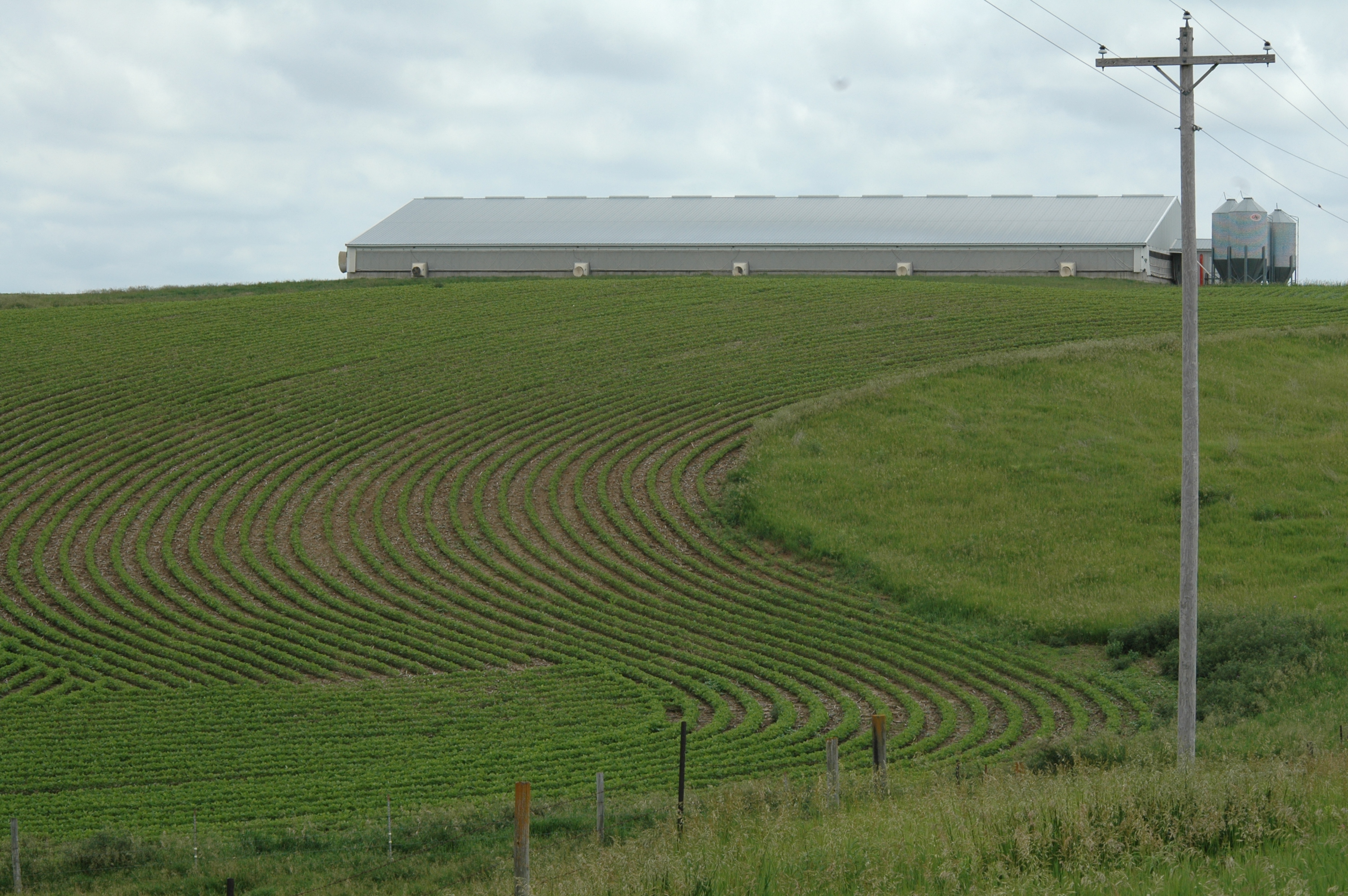 Bayer CropScience, Monsanto enter into cross-licensing agreements ...