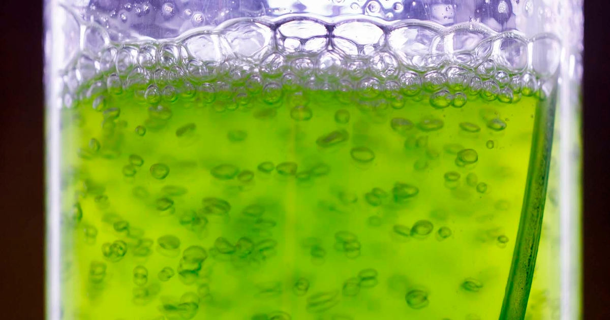 Exxon scores breakthrough in algae-based biofuels