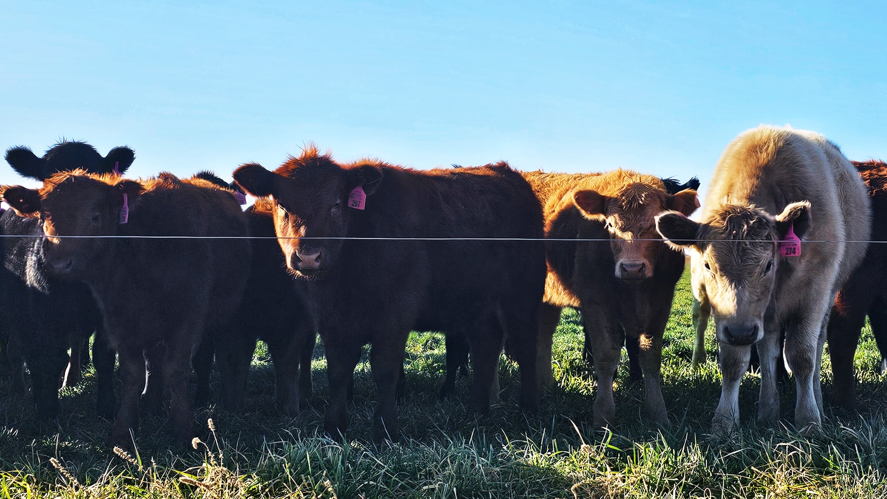 Consider finding stillness, peace in 2026