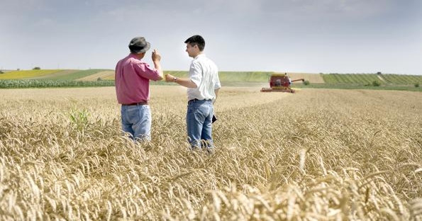 How to build an effective farm employee review system