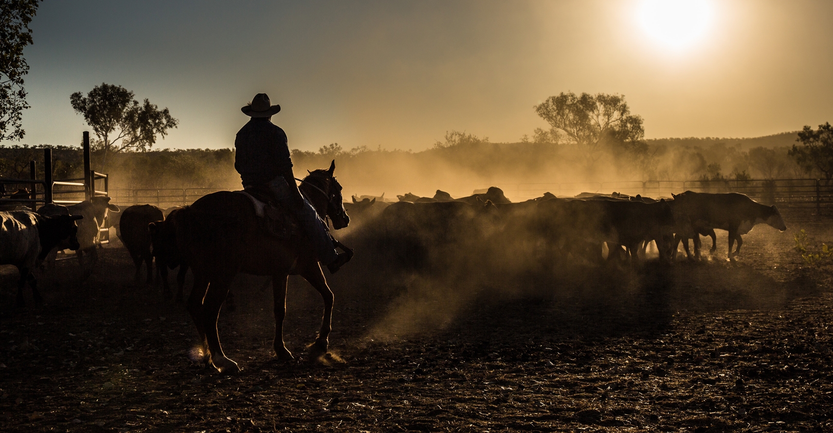 Five couples join the ranks of Kansas Cowboy Hall of Fame | Farm Progress